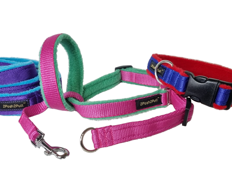 Give Your Pet A Designer Nose Lead for Dogs from 2Posh2Pull
